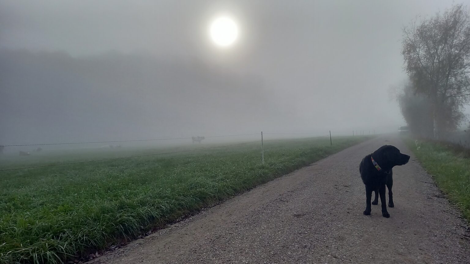 Seftigen A-Z - Gemeinde Seftigen